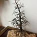 Handcrafted Large Agate With Copper Wire Tree Sculpture, Mid-century ...