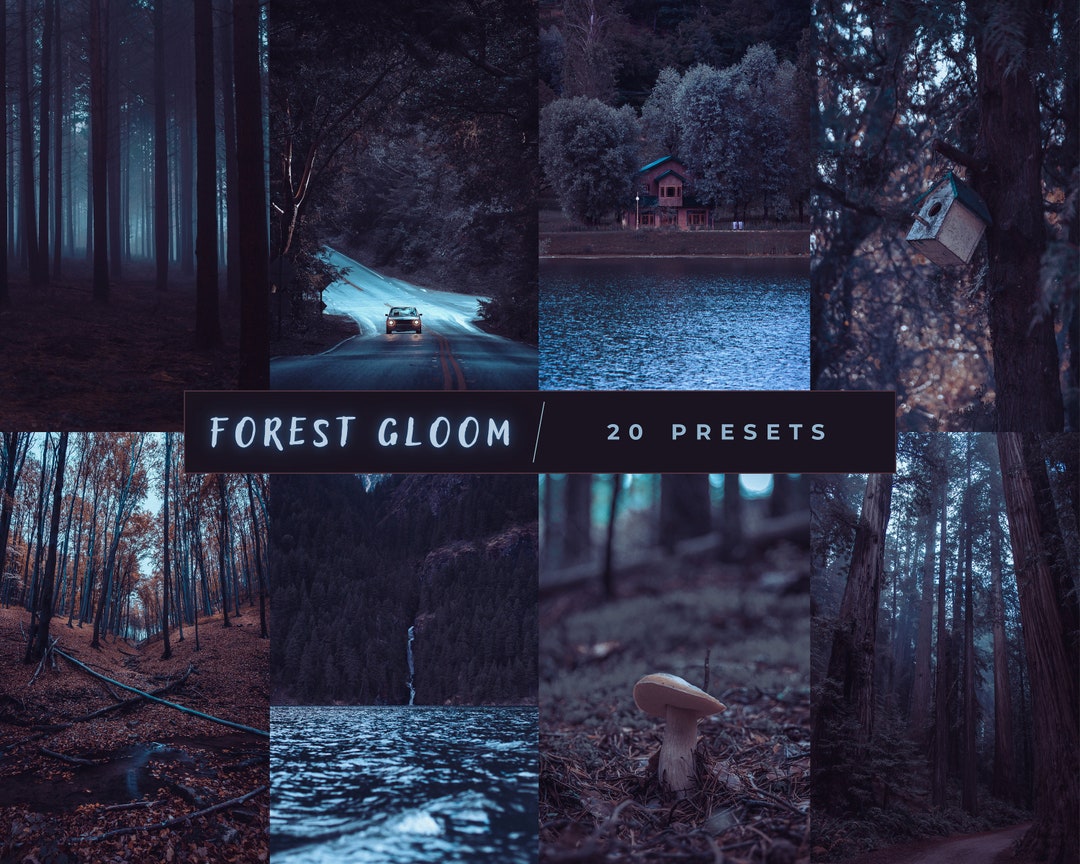 20 Forest Gloom Lightroom Presets, Moody Presets, Lightroom Presets, Mobile Presets, Desktop ...