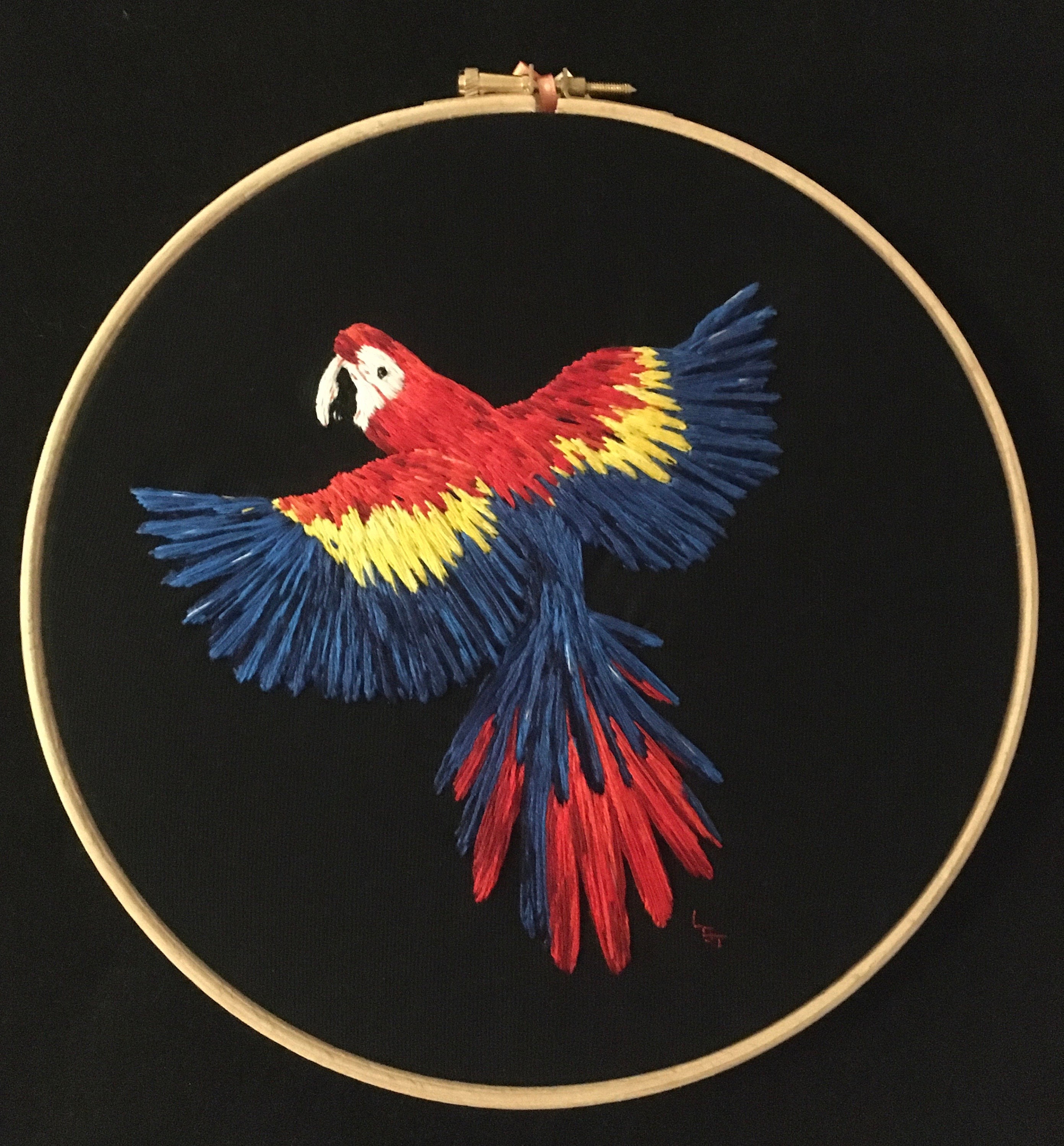 Beautiful Scarlet Macaw Embroidery - Etsy
