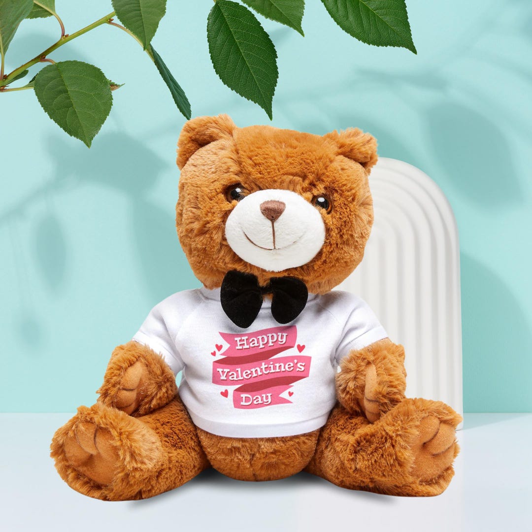 Adorable Romantic Valentines Day Teddy Bear Gift Soft Plush Valentine's ...