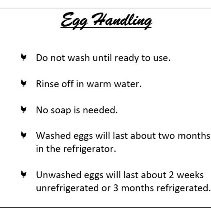 Fresh Egg Care Cards - Etsy
