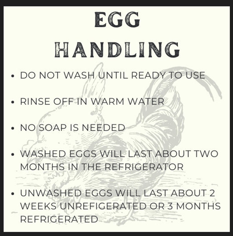 Egg Handling Instructions - Etsy
