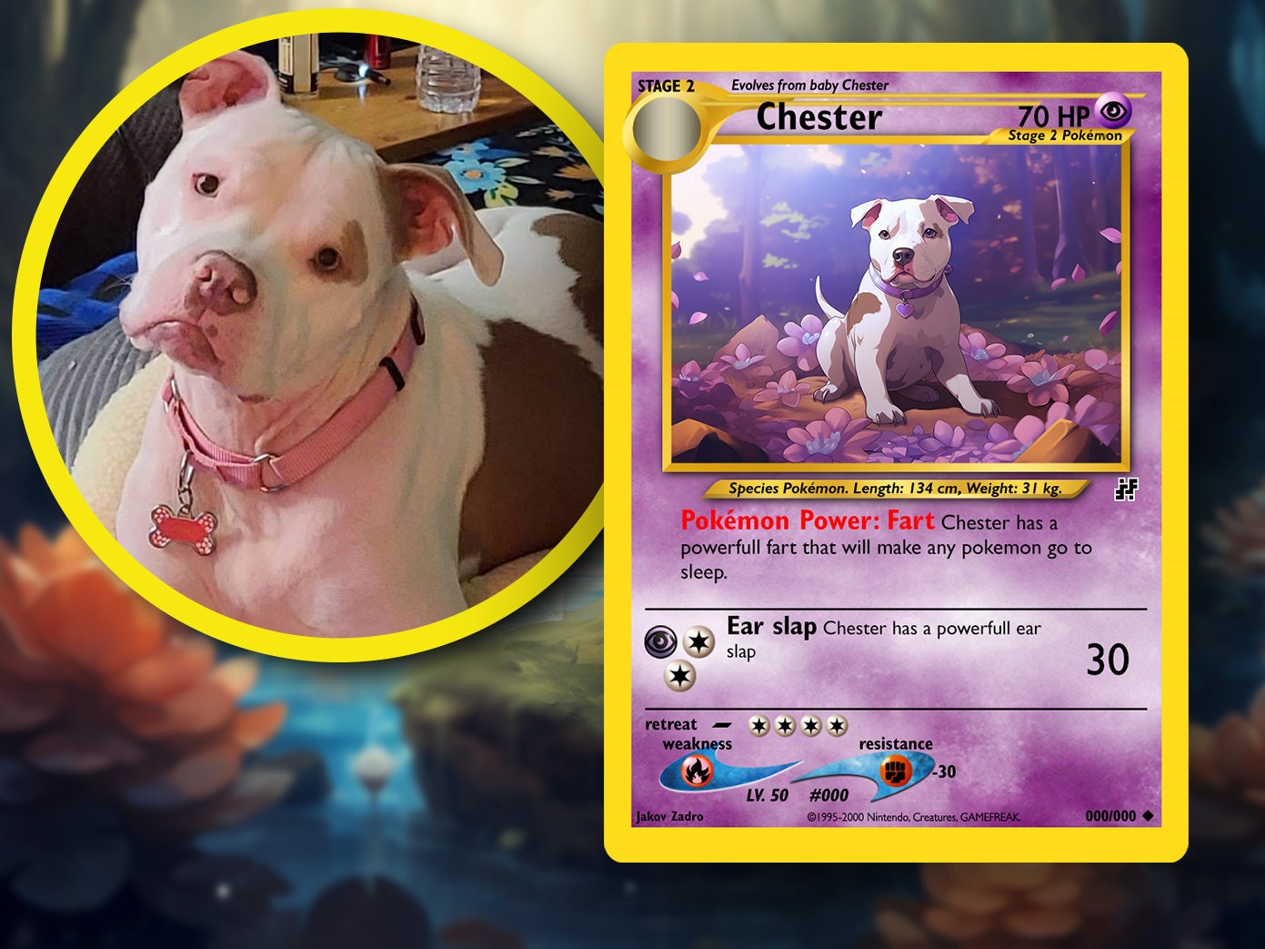 Pet as a Pokemon Card / Custom Pokemon Card / Pokemon Gift / Birthday ...