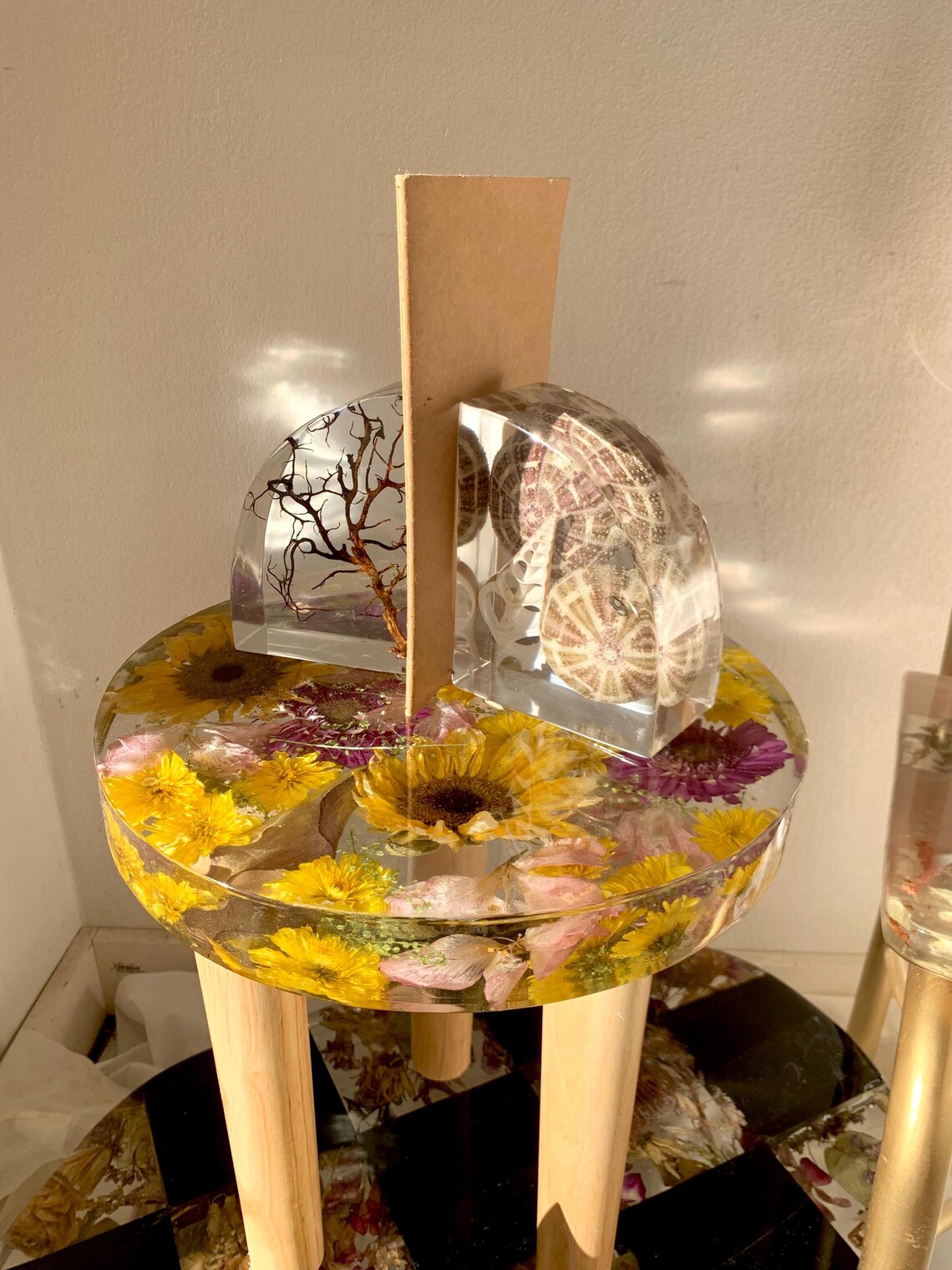 THE SEA BOOKENDS Sea Fan Sea Urchin Resin Art Preserved Specimen ...