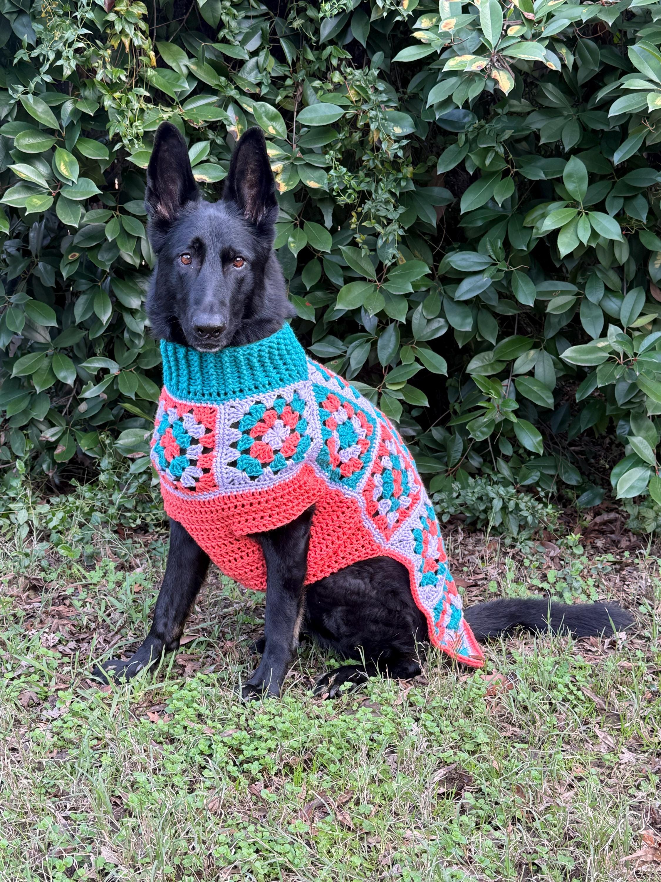 PATTERN ONLY Granny Square Dog Sweater - Etsy