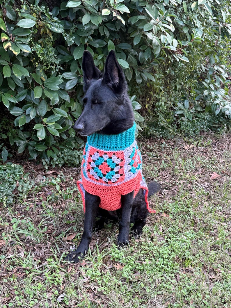 PATTERN ONLY Granny Square Dog Sweater - Etsy