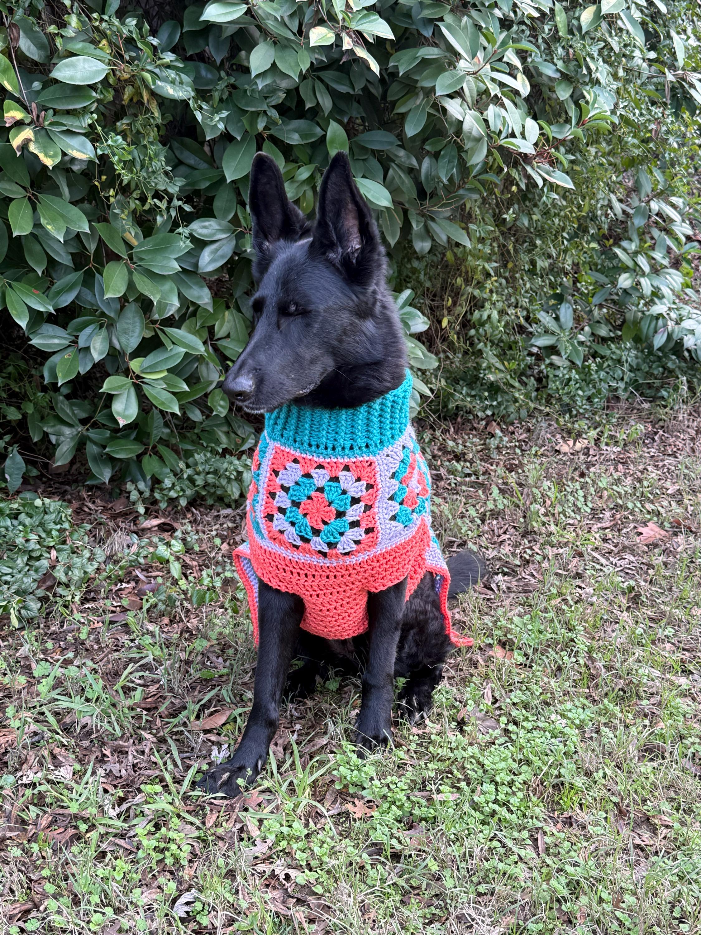 PATTERN ONLY Granny Square Dog Sweater - Etsy
