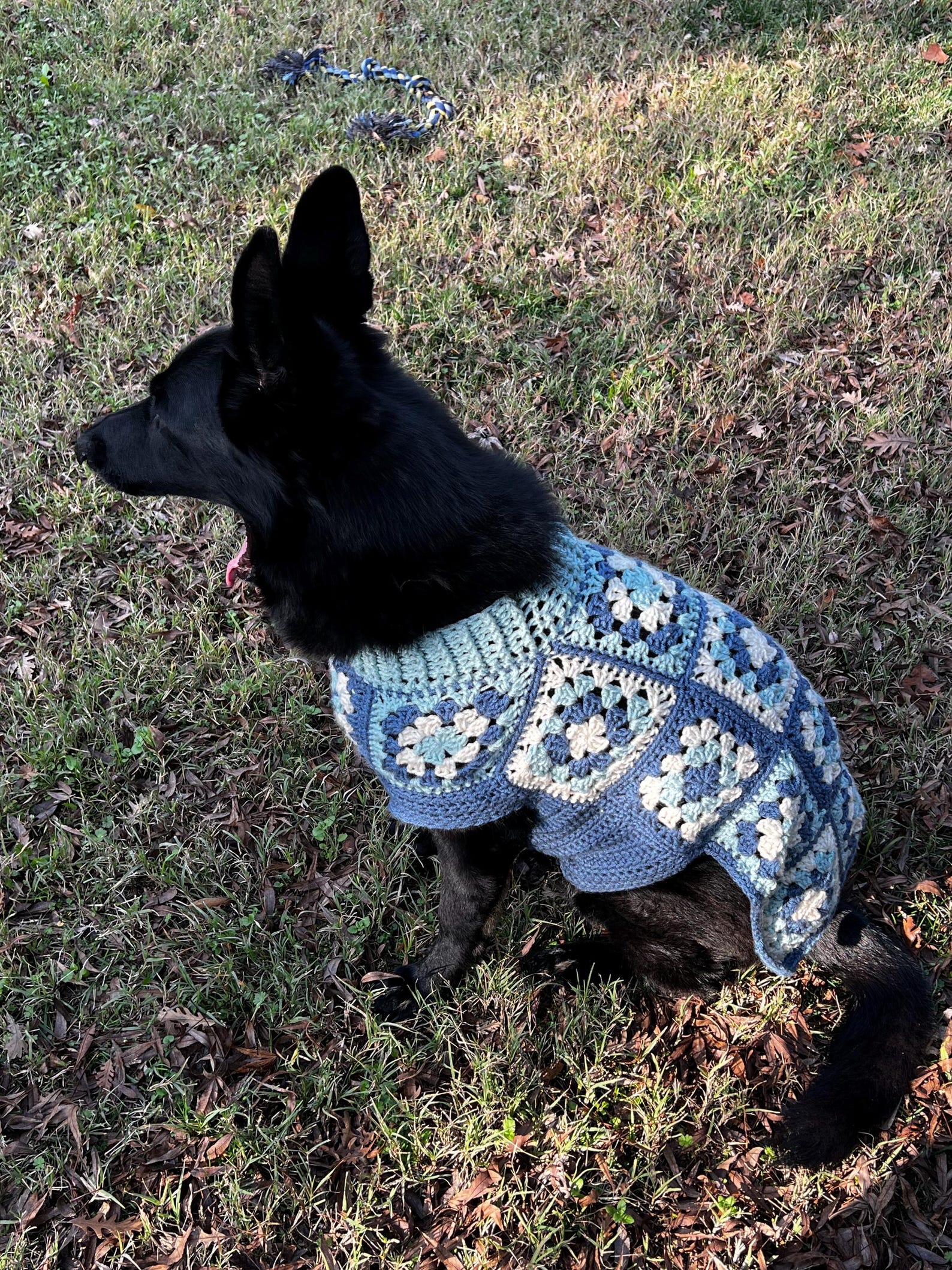 PATTERN ONLY Granny Square Dog Sweater - Etsy