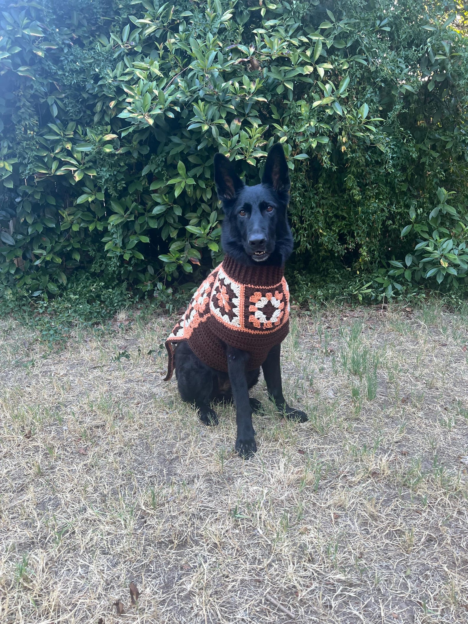 PATTERN ONLY Granny Square Dog Sweater - Etsy