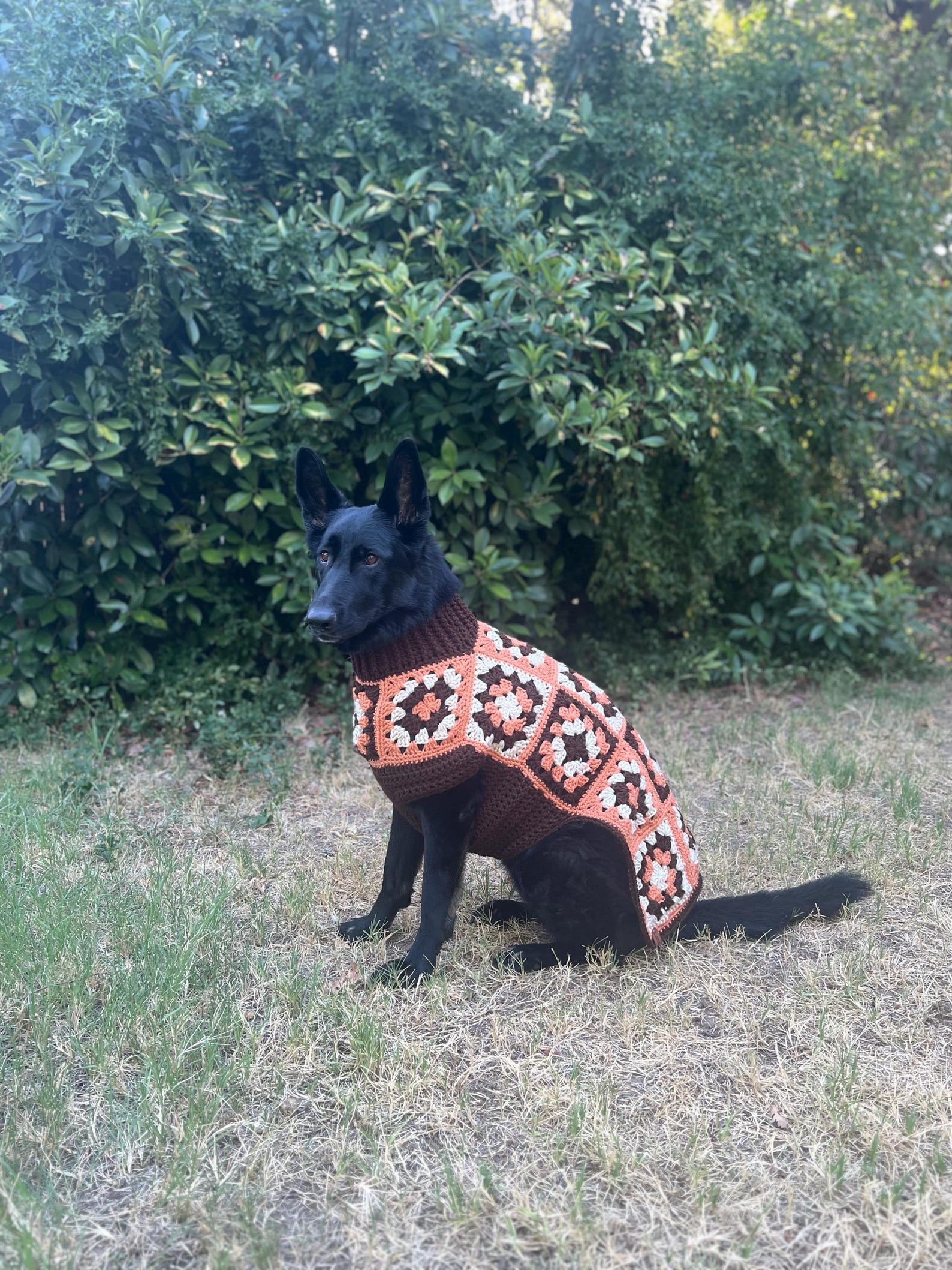 PATTERN ONLY Granny Square Dog Sweater - Etsy