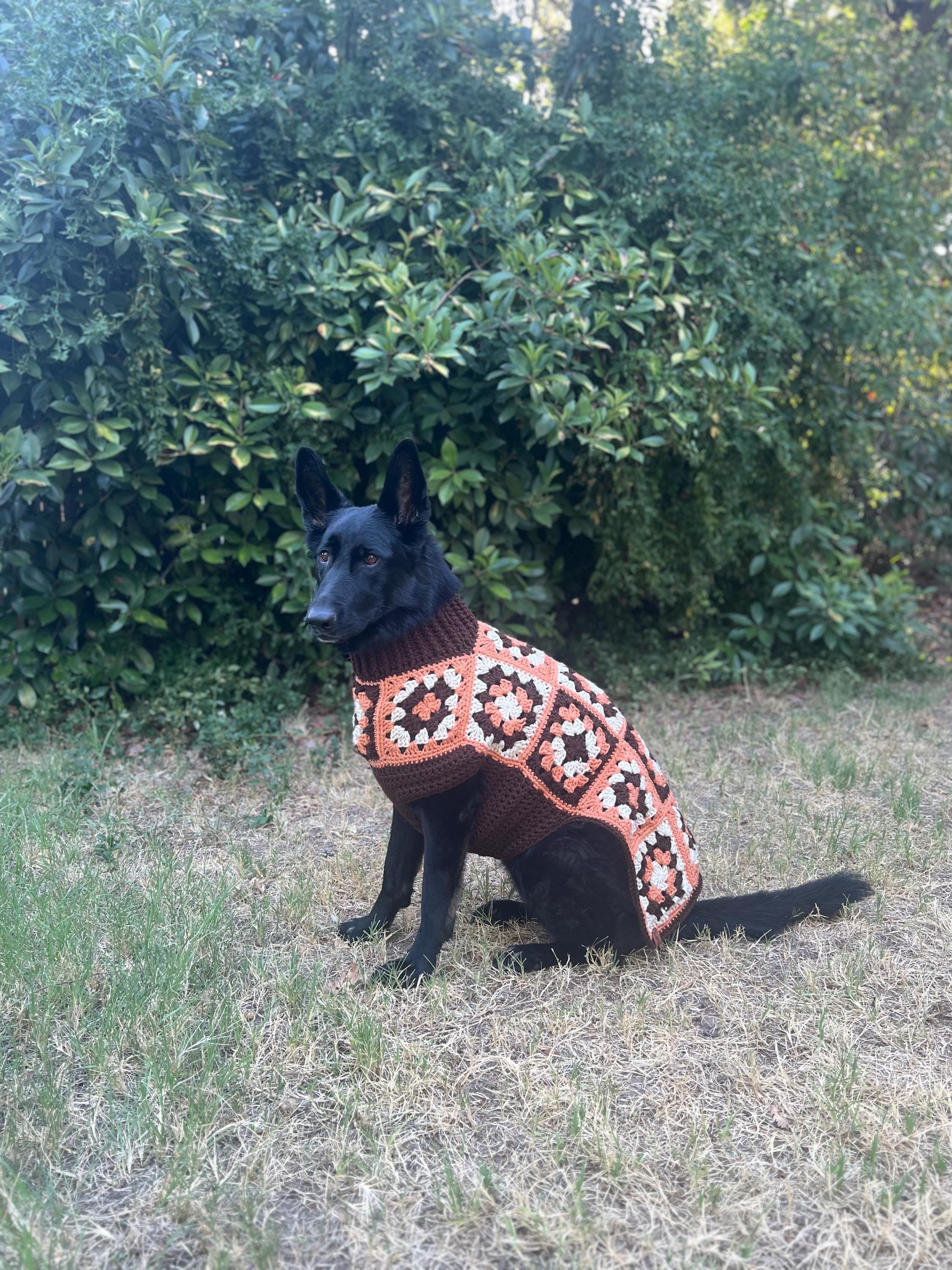 PATTERN ONLY Granny Square Dog Sweater - Etsy