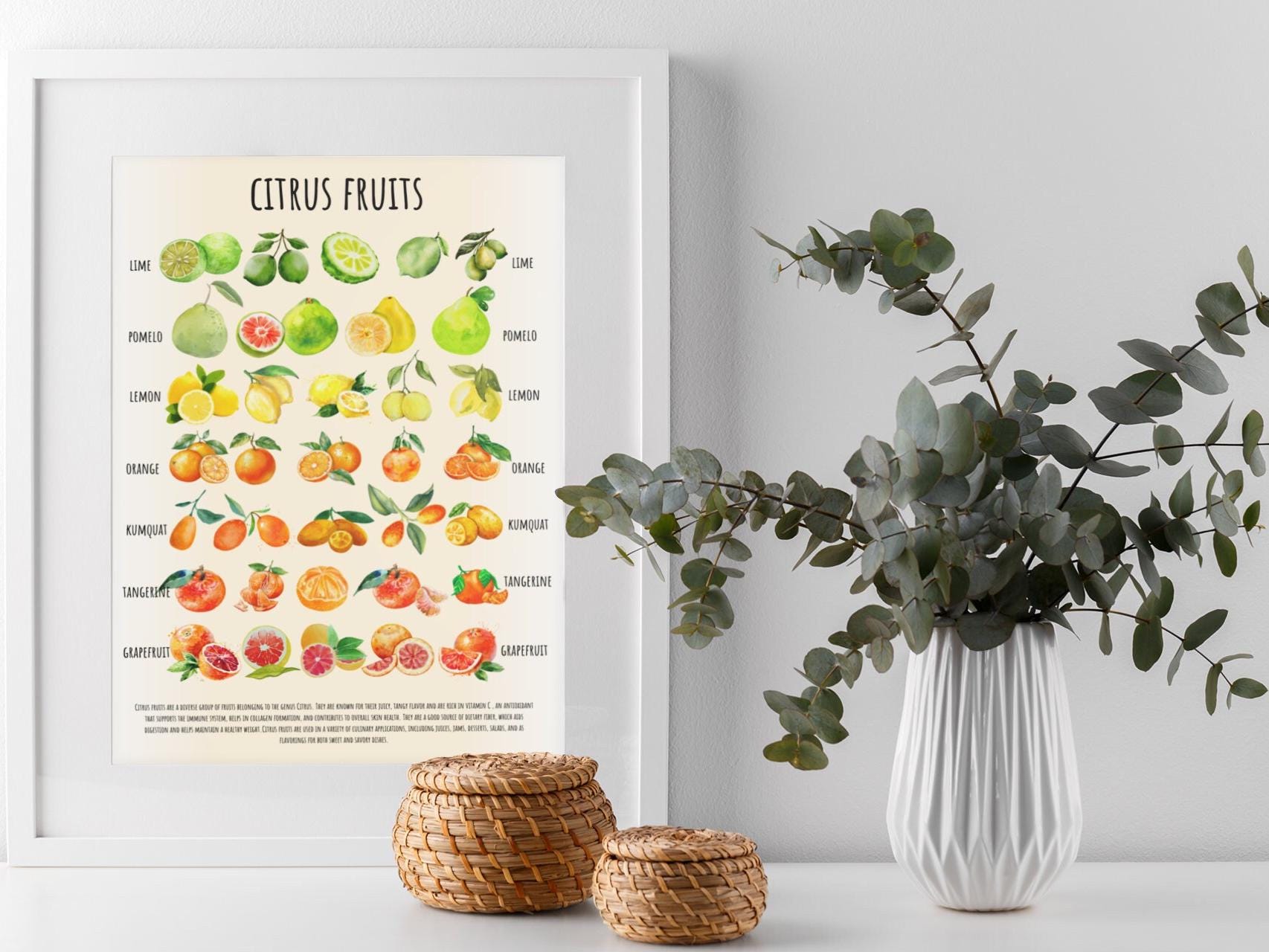 Citrus Fruits, Large Printable Art, Downloadable Prints, Digital ...