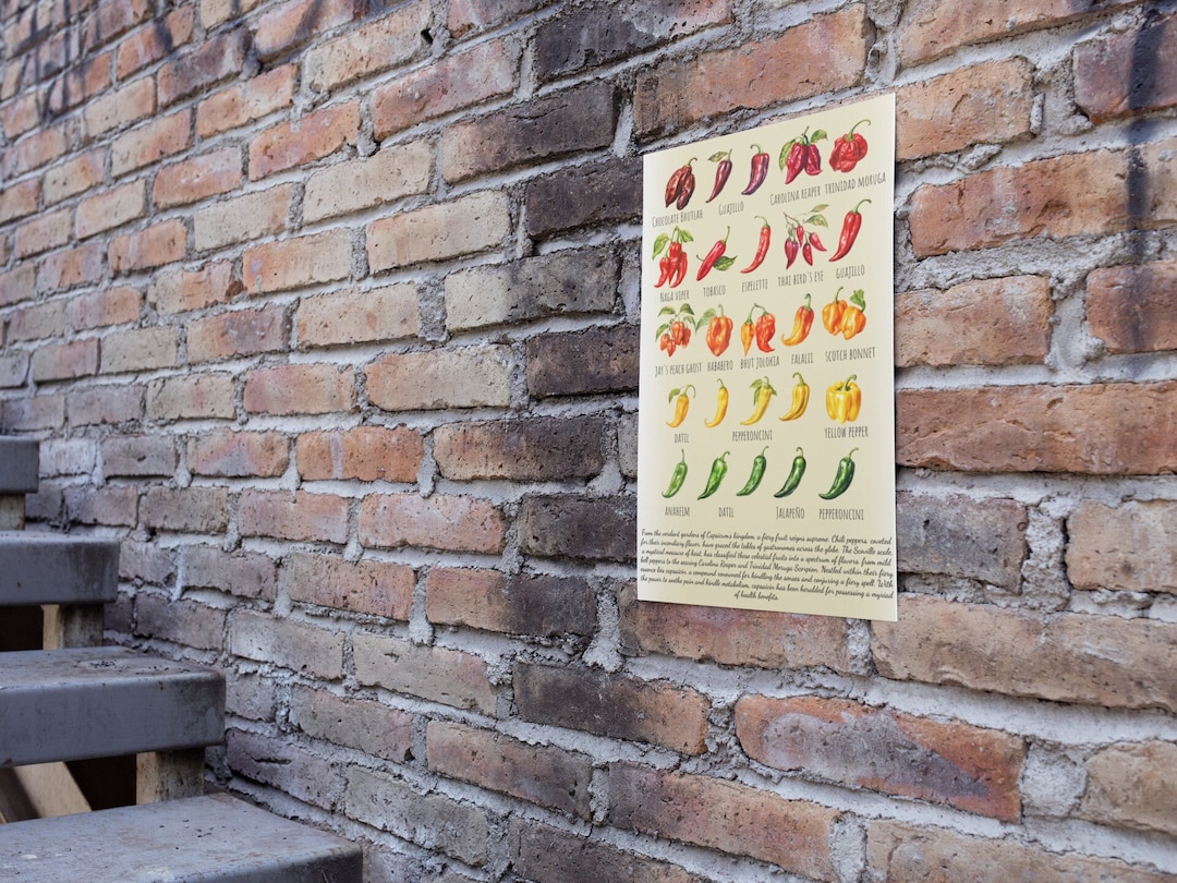 Hot Chili Poster Chilli Poster for Food Lover Kitchen Poster Wall Decor ...