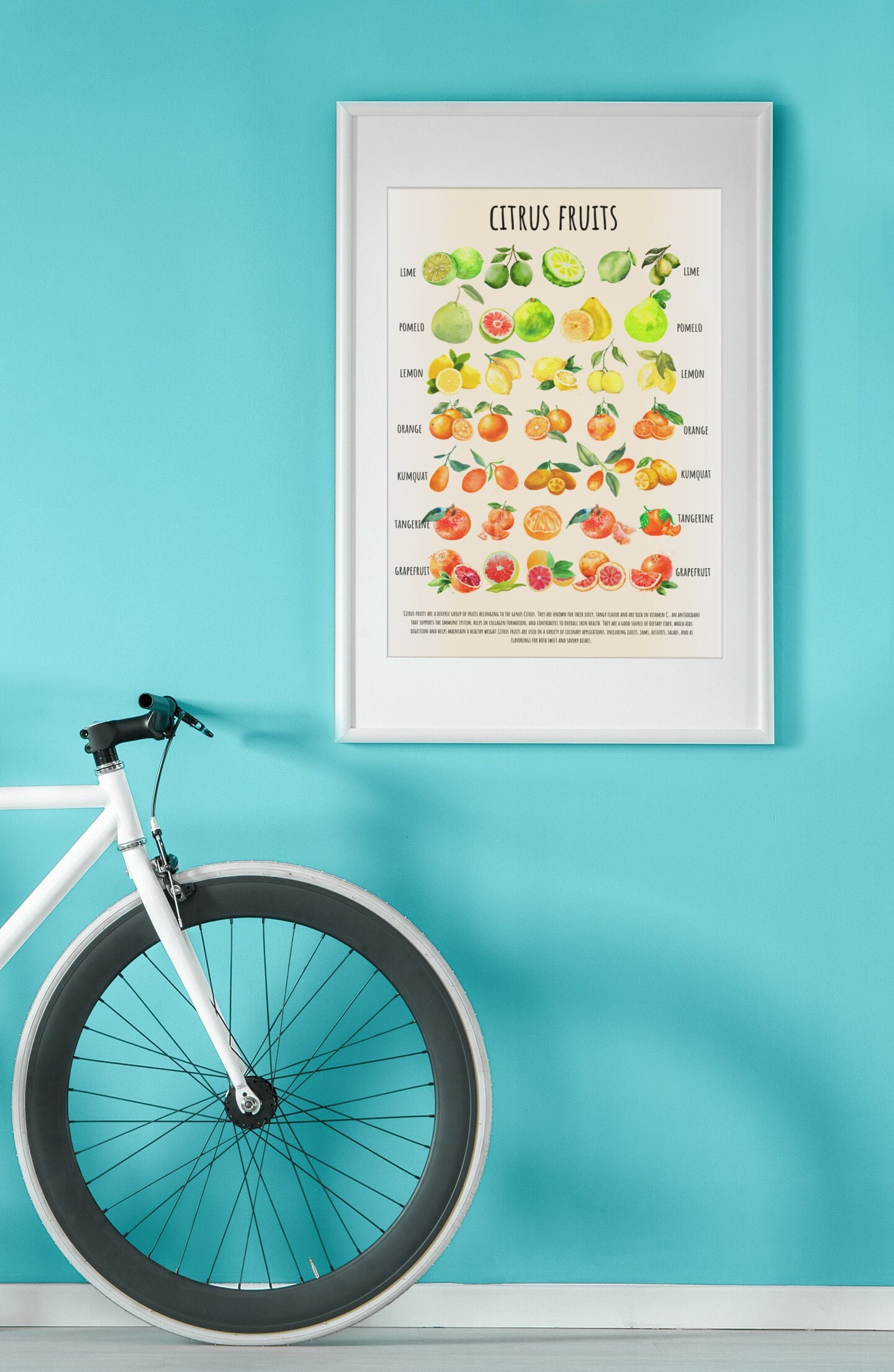 Citrus Fruits, Large Printable Art, Downloadable Prints, Digital ...