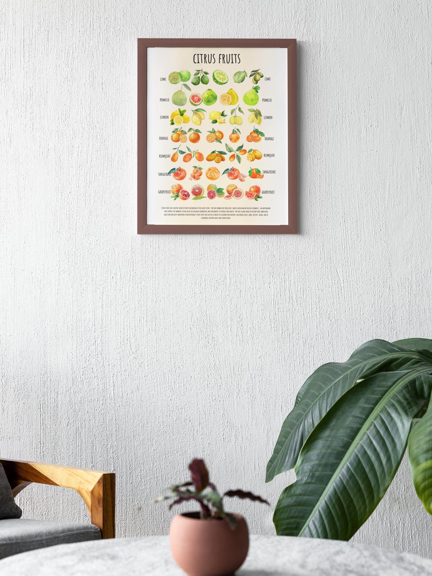 Citrus Fruits, Large Printable Art, Downloadable Prints, Digital ...