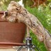 Troll Lamp. Driftwood Floor Lamp, Sustainable Design, Wood Art ...