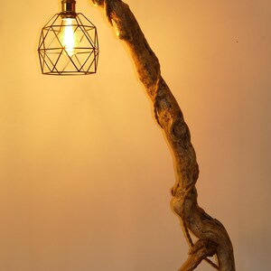 Troll Lamp. Driftwood Floor Lamp, Sustainable Design, Wood Art ...