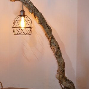Troll Lamp. Driftwood Floor Lamp, Sustainable Design, Wood Art ...