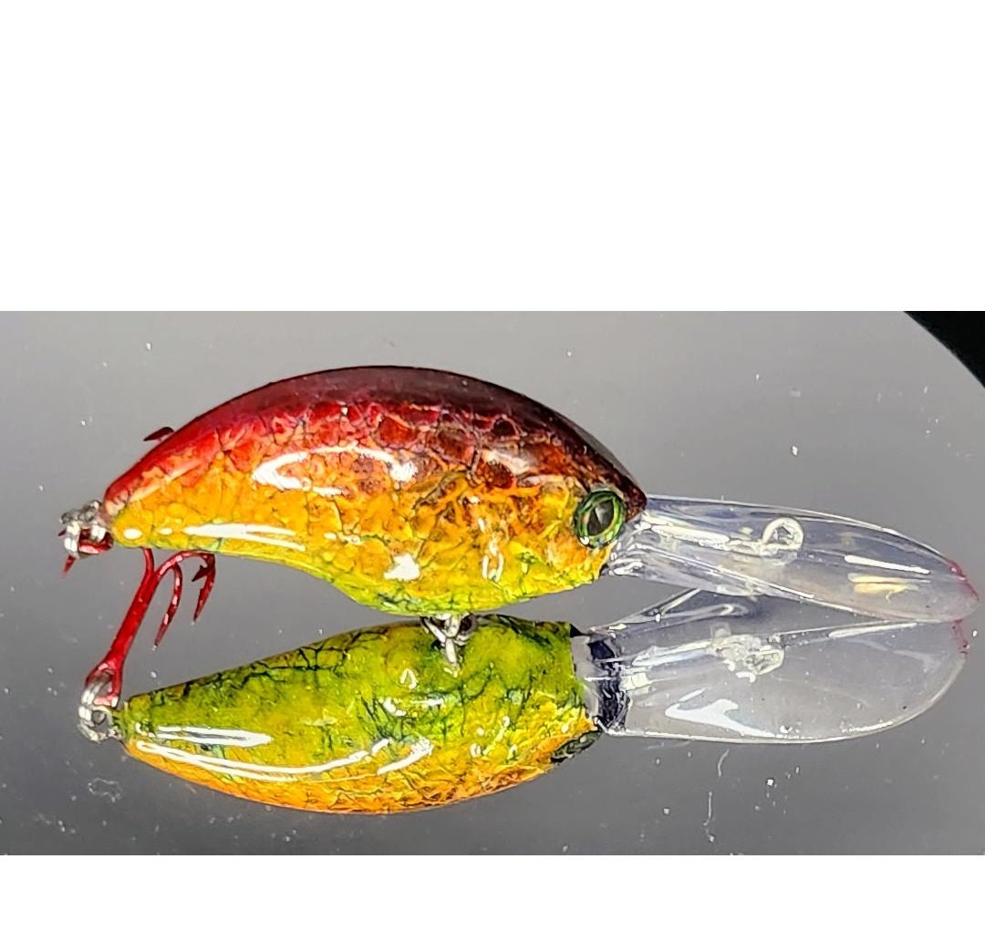 Lake Martin Fishing Lure, You Pick Body Style, Swim Depth and Paint ...