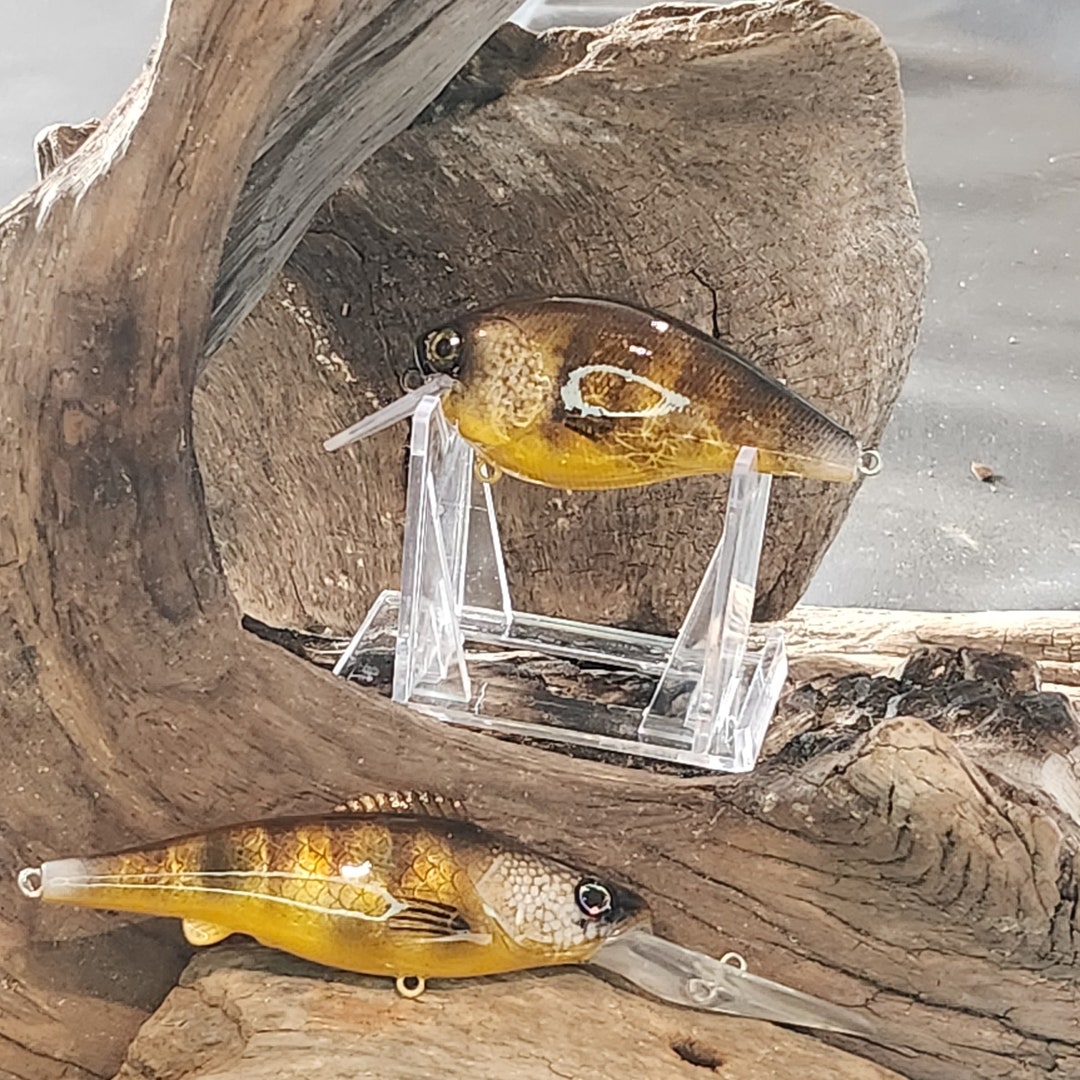 Golden Walleye - Fishing Lure - Etsy