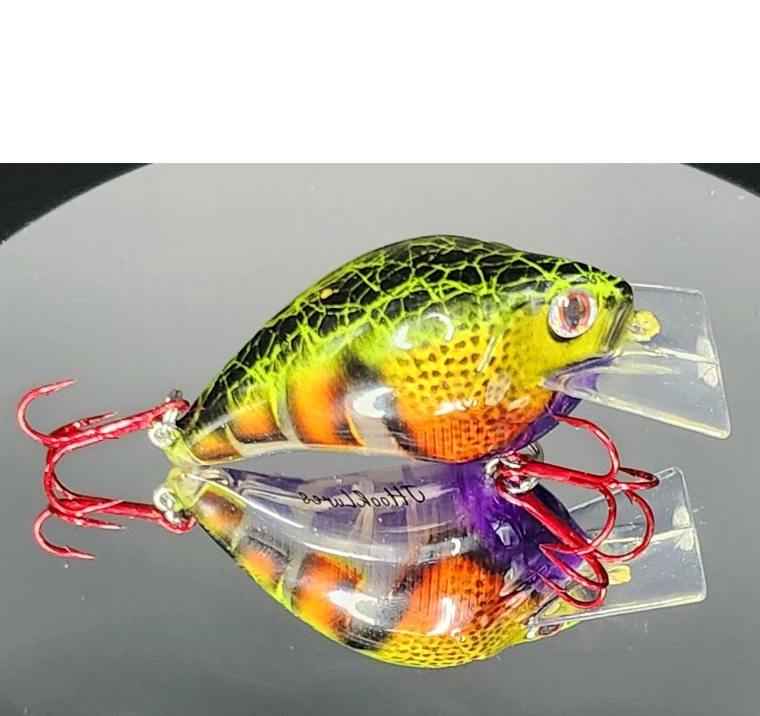 Zombi Crawl Fishing Lure, You Pick Body Style, Swim Depth and Paint ...
