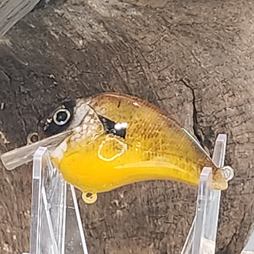 Golden Blue Gill - Fishing Lure - Etsy