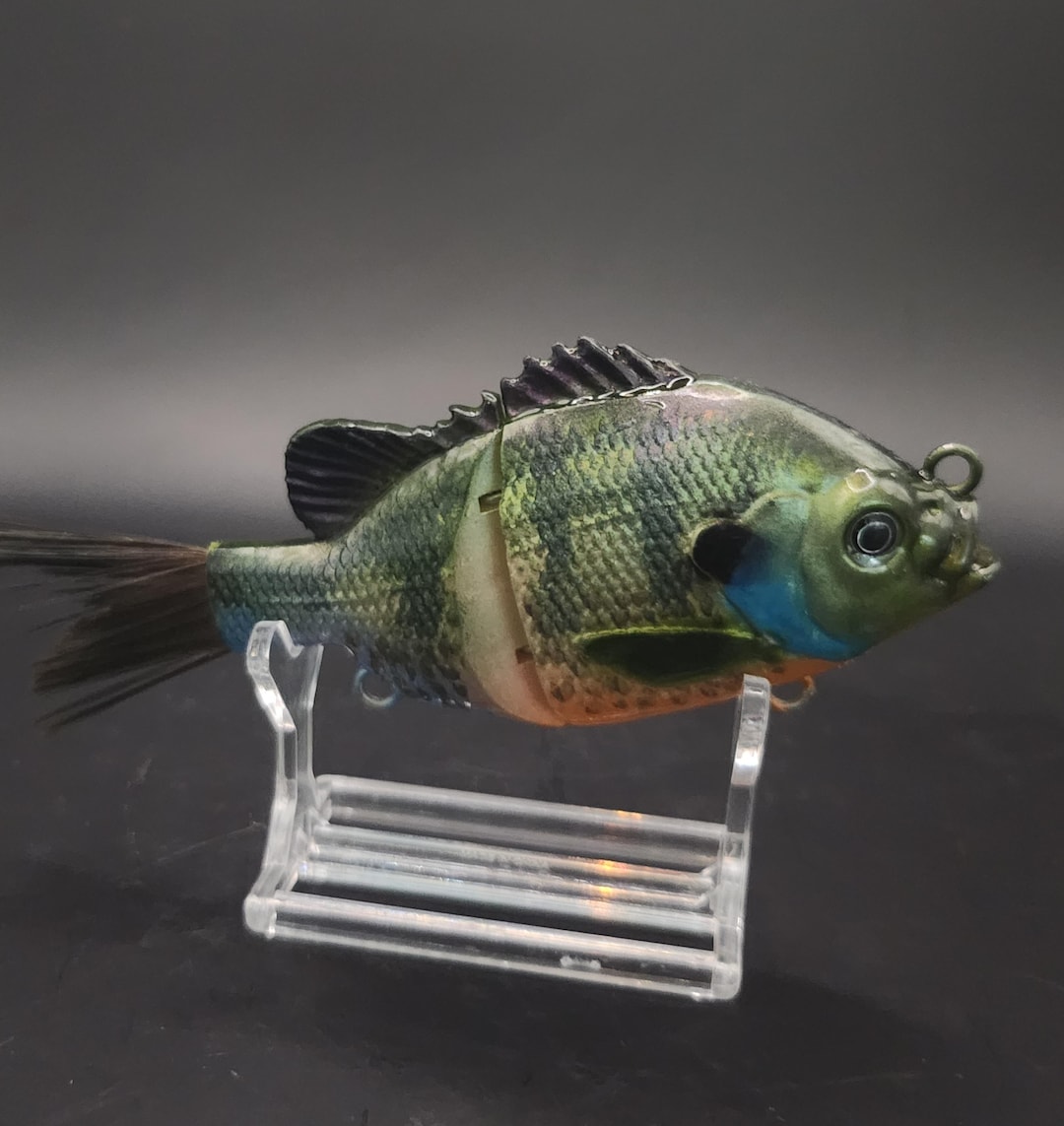Bluegill Glide Bait 5" (from Nose to Tip of Tail) - Etsy