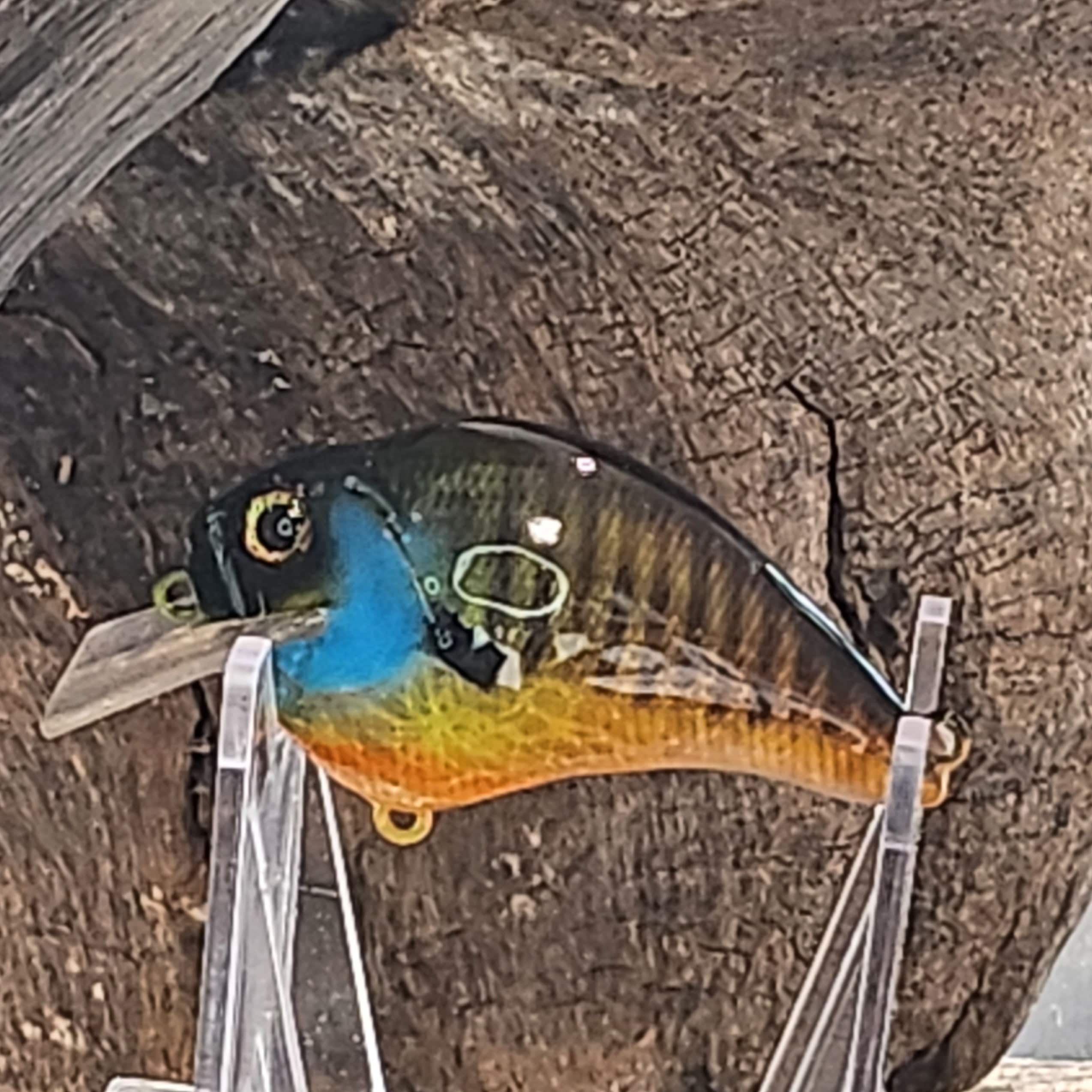 Blue Headed Sunfish Fishing Lure - Etsy