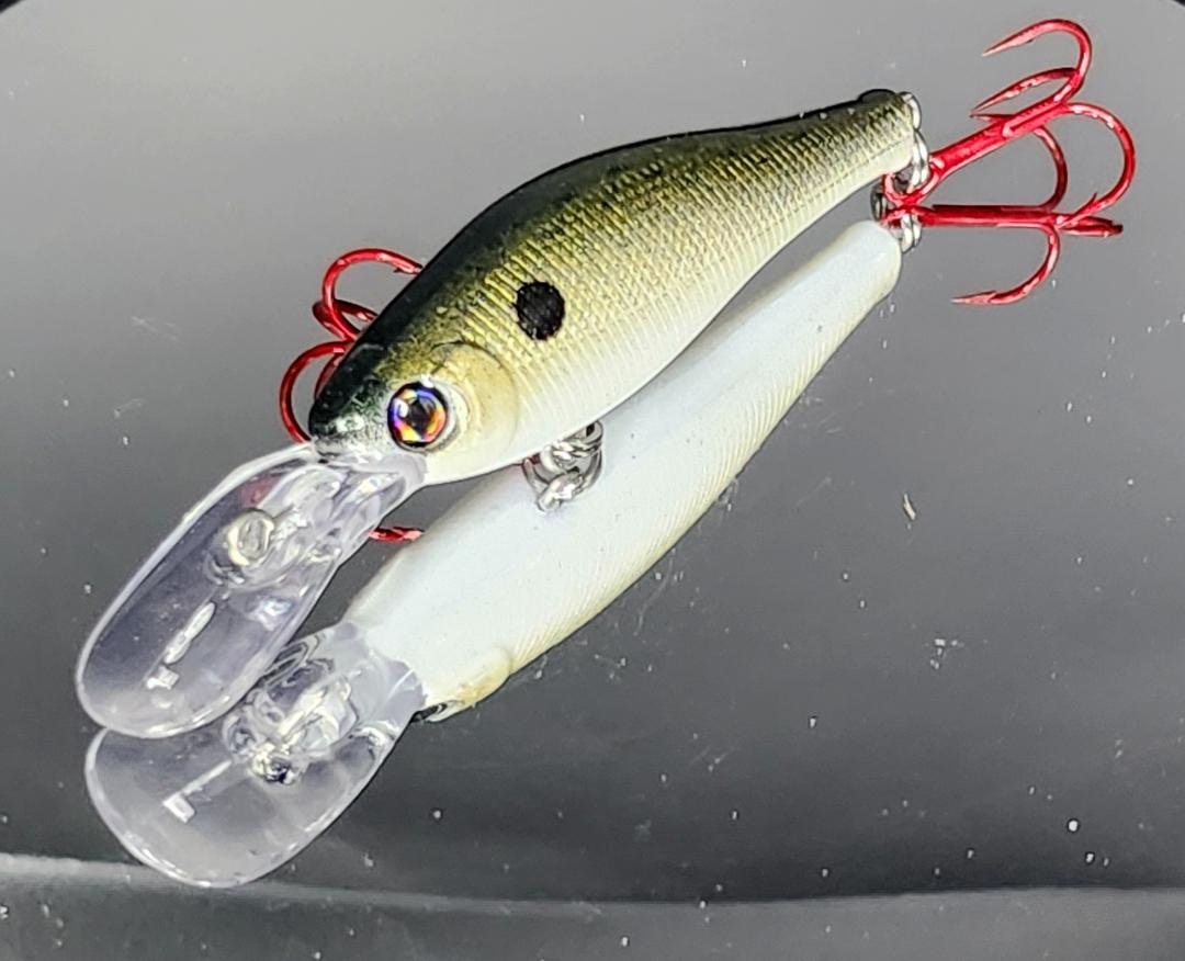 Golden Shad Fishing Lure, You Pick Body Style, Swim Depth and Paint ...