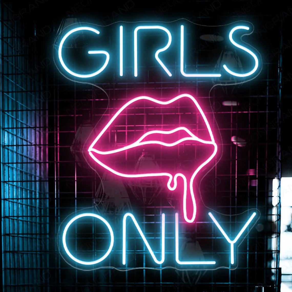 Girls Only Neon Sign, Feminine Lip Art Light, Exclusive Women's Space ...
