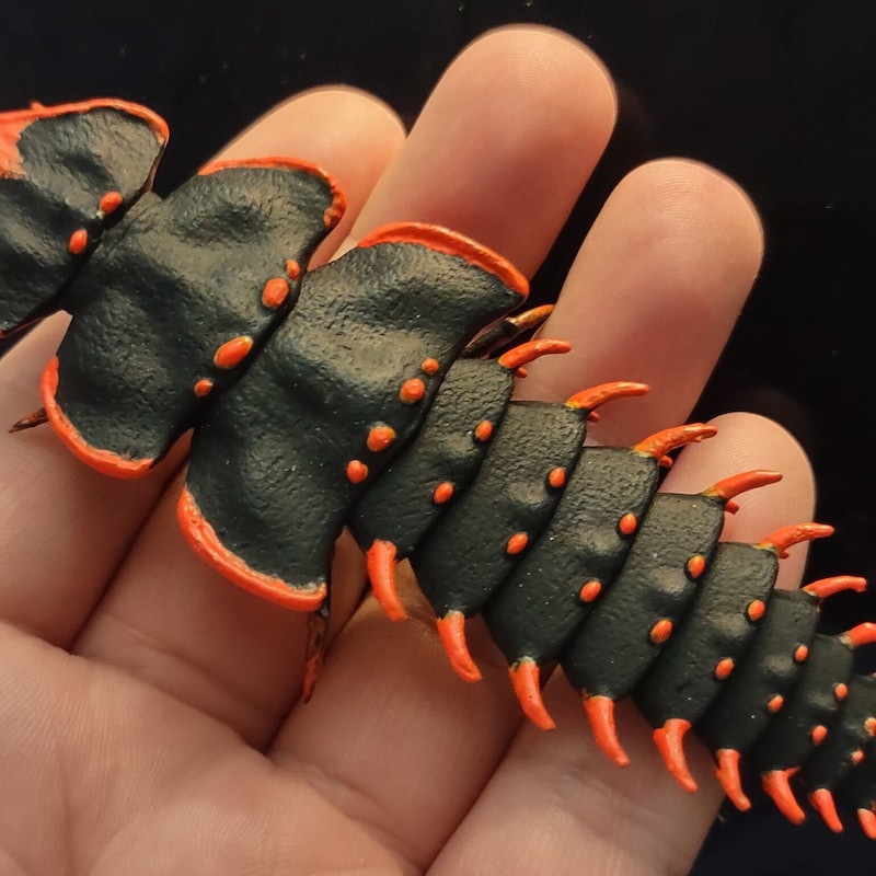 Realistic Bugs Toy - Etsy