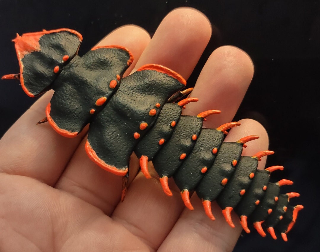 Model Trilobite Beetle Realistic Bug Figure Plastic Insect Large - Etsy