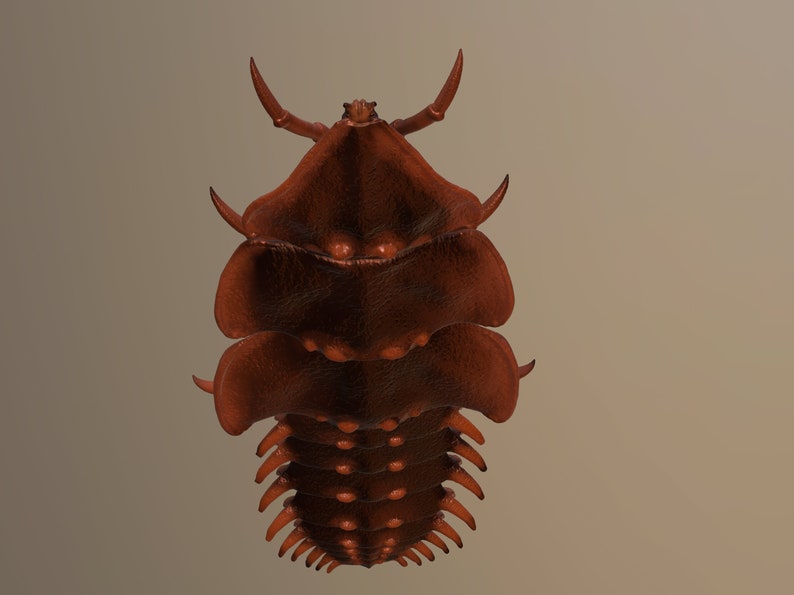 Trilobite Beetle 3D Print File, Downloadable STL File for 3D Printing ...