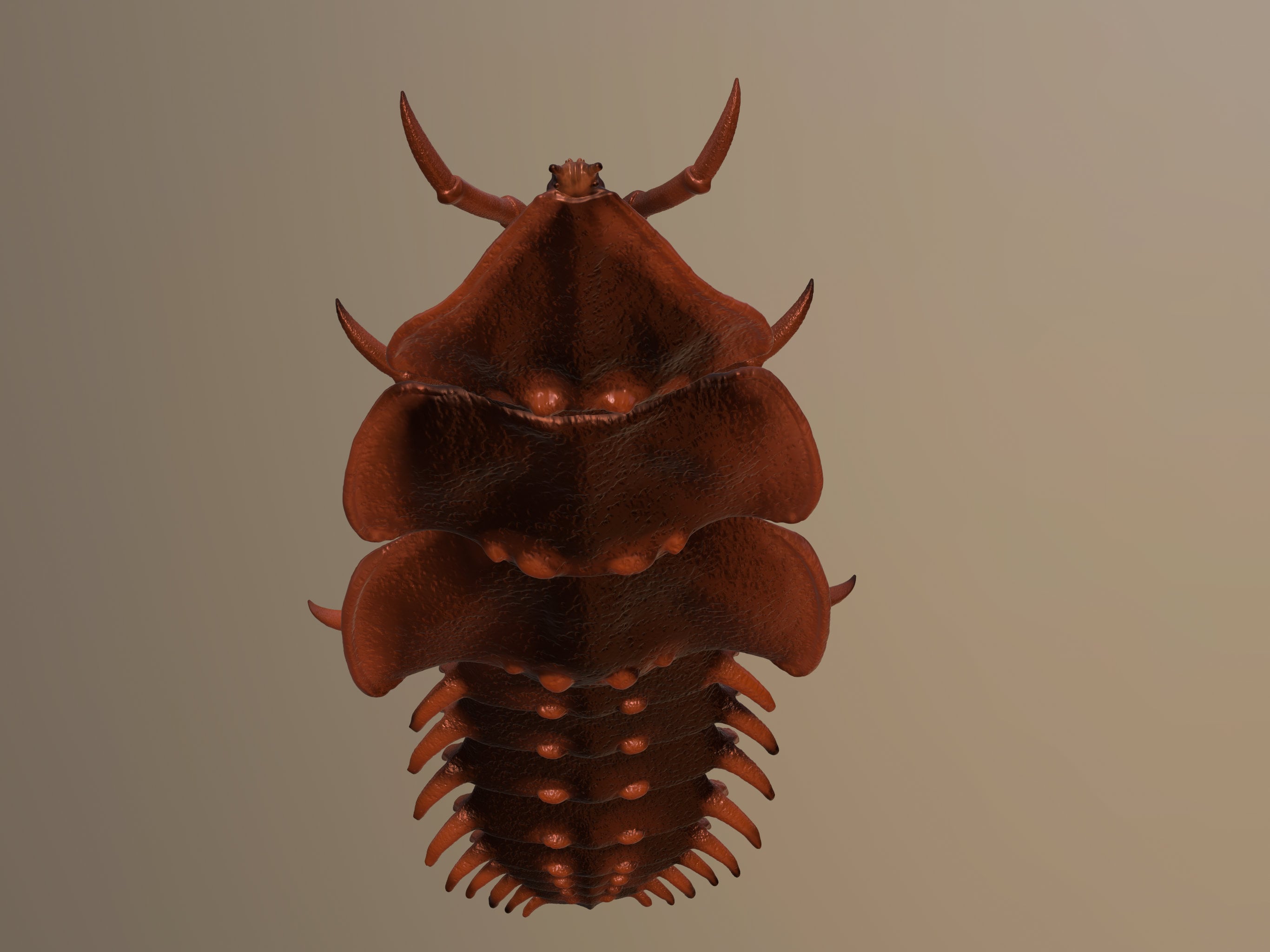 Trilobite Beetle 3D Print File, Downloadable STL File for 3D Printing ...