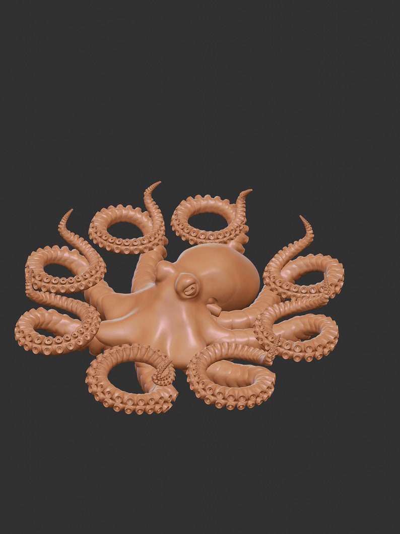 Octopus Dice Holder STL 3D Print File Tentacle Knicknack Holder - Etsy UK