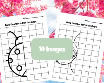 Symmetry Drawing, Winter Symmetry Drawing, Lines of Symmetry Activities ...