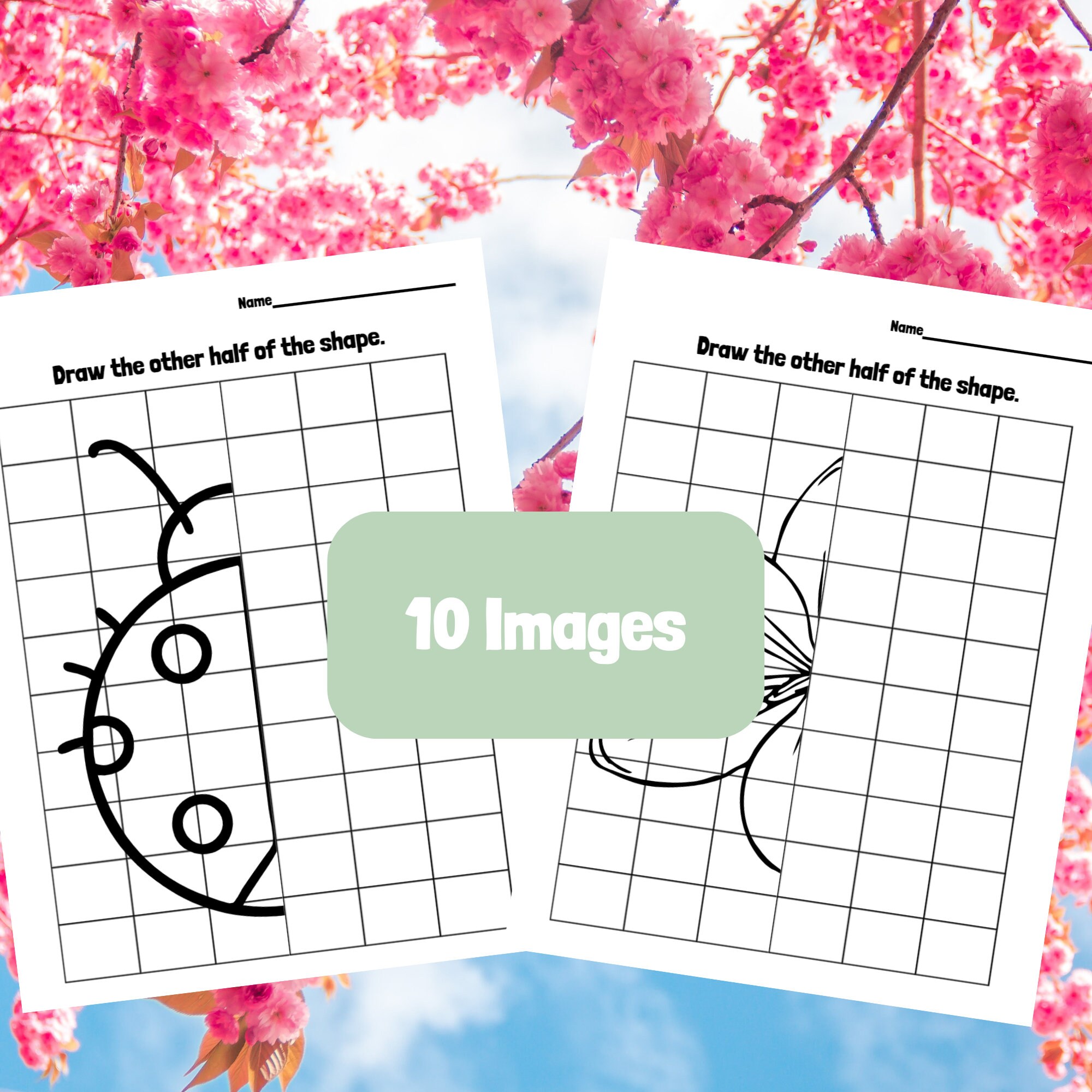 Symmetry Drawing, Spring Symmetry Drawing, Lines of Symmetry Activities ...