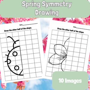 Symmetry Drawing, Spring Symmetry Drawing, Lines of Symmetry Activities ...