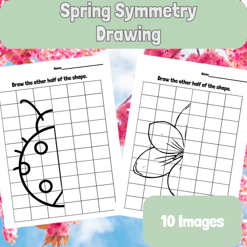 Symmetry Drawing, Spring Symmetry Drawing, Lines of Symmetry Activities ...