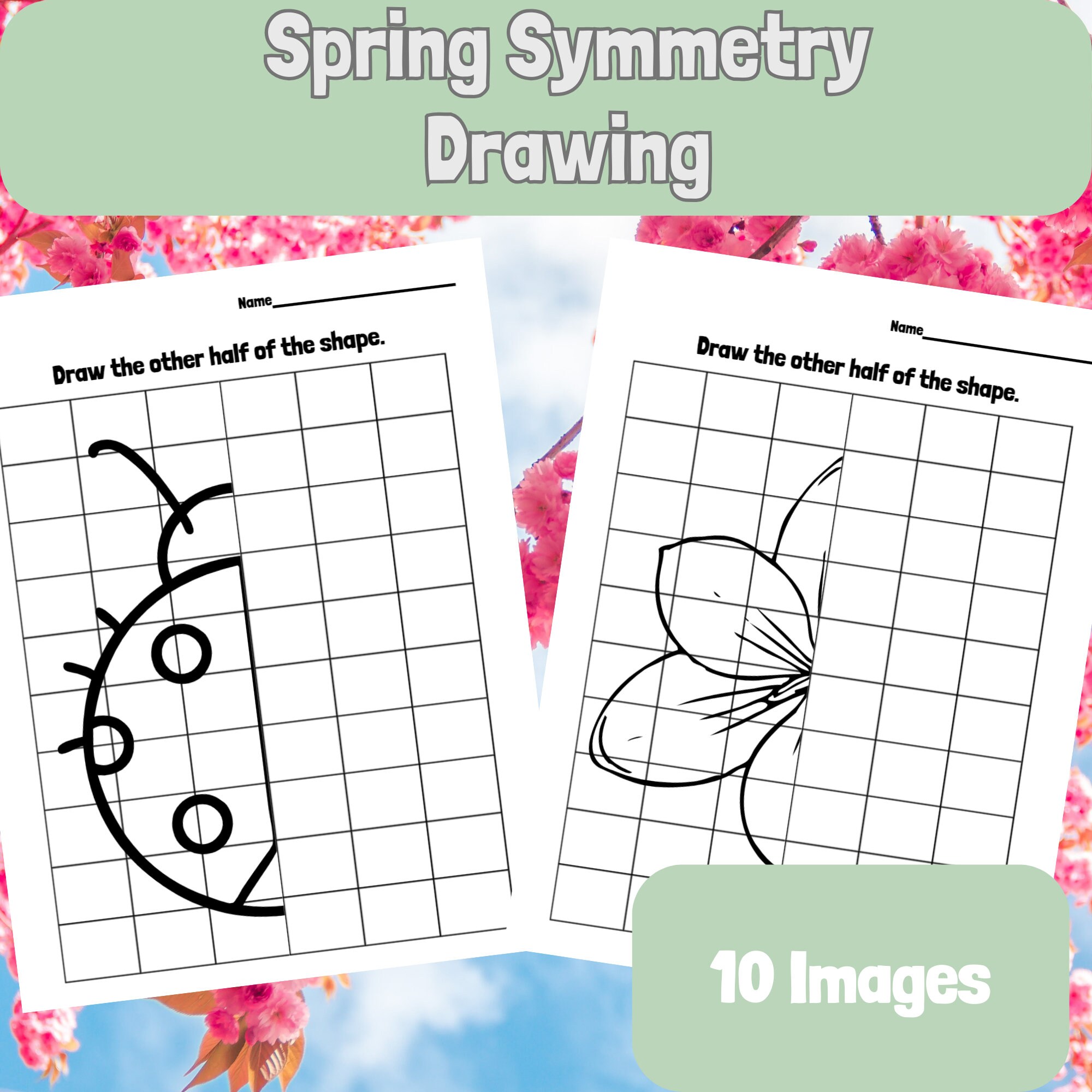 Symmetry Drawing, Spring Symmetry Drawing, Lines of Symmetry Activities ...