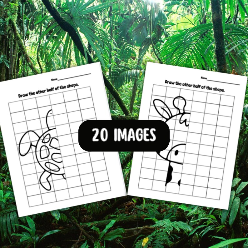 Symmetry Drawing, Animal Symmetry Drawing, Lines of Symmetry Activities ...