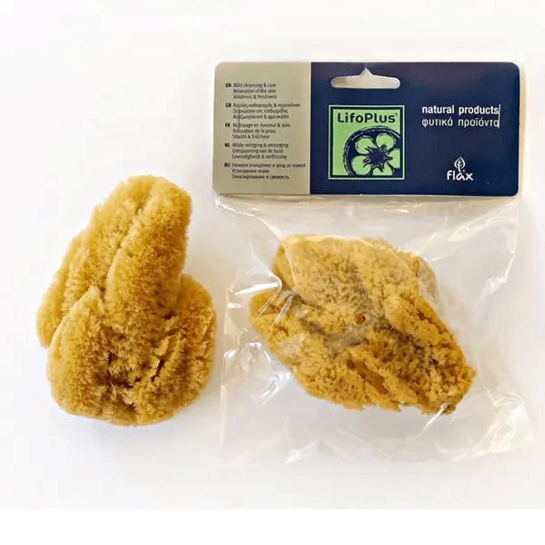 Natural Dried Greek Sea Sponge - Etsy