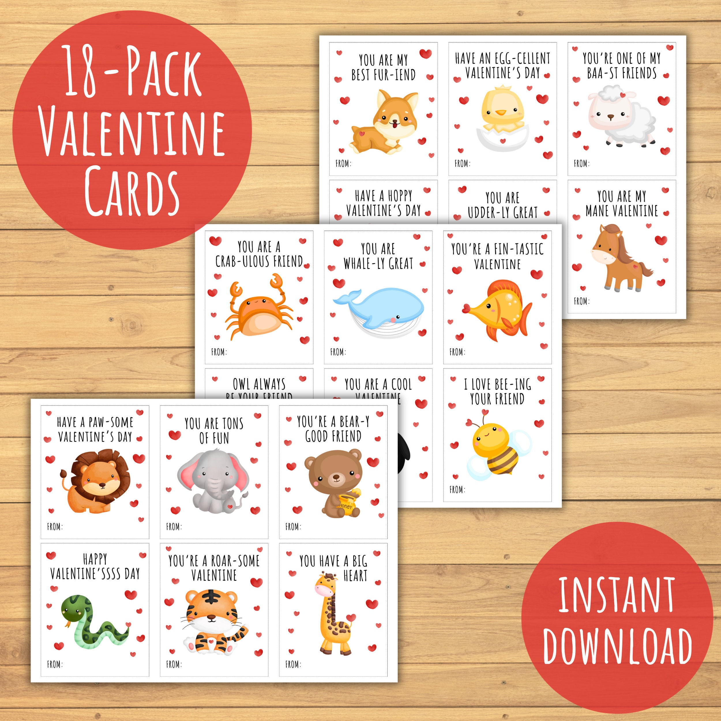 18 Pack Valentine's Day Cards Illustrated Animal Puns for Day of Love ...