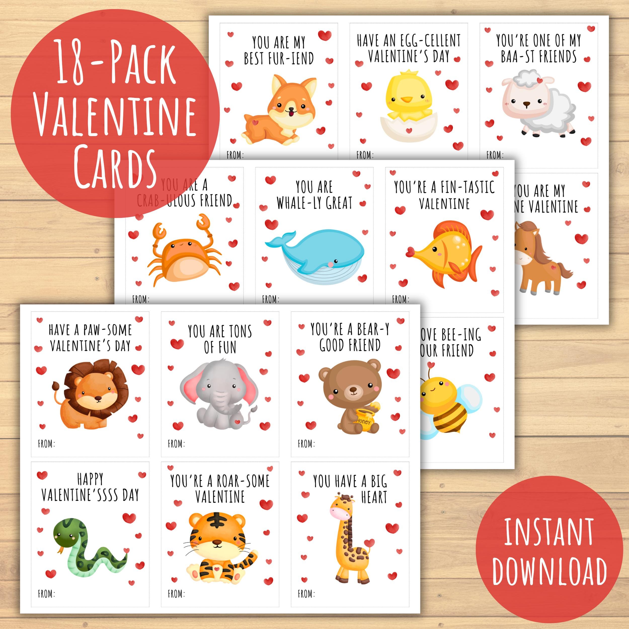 18 Pack Valentine's Day Cards | Illustrated Animal Puns for Day of Love ...