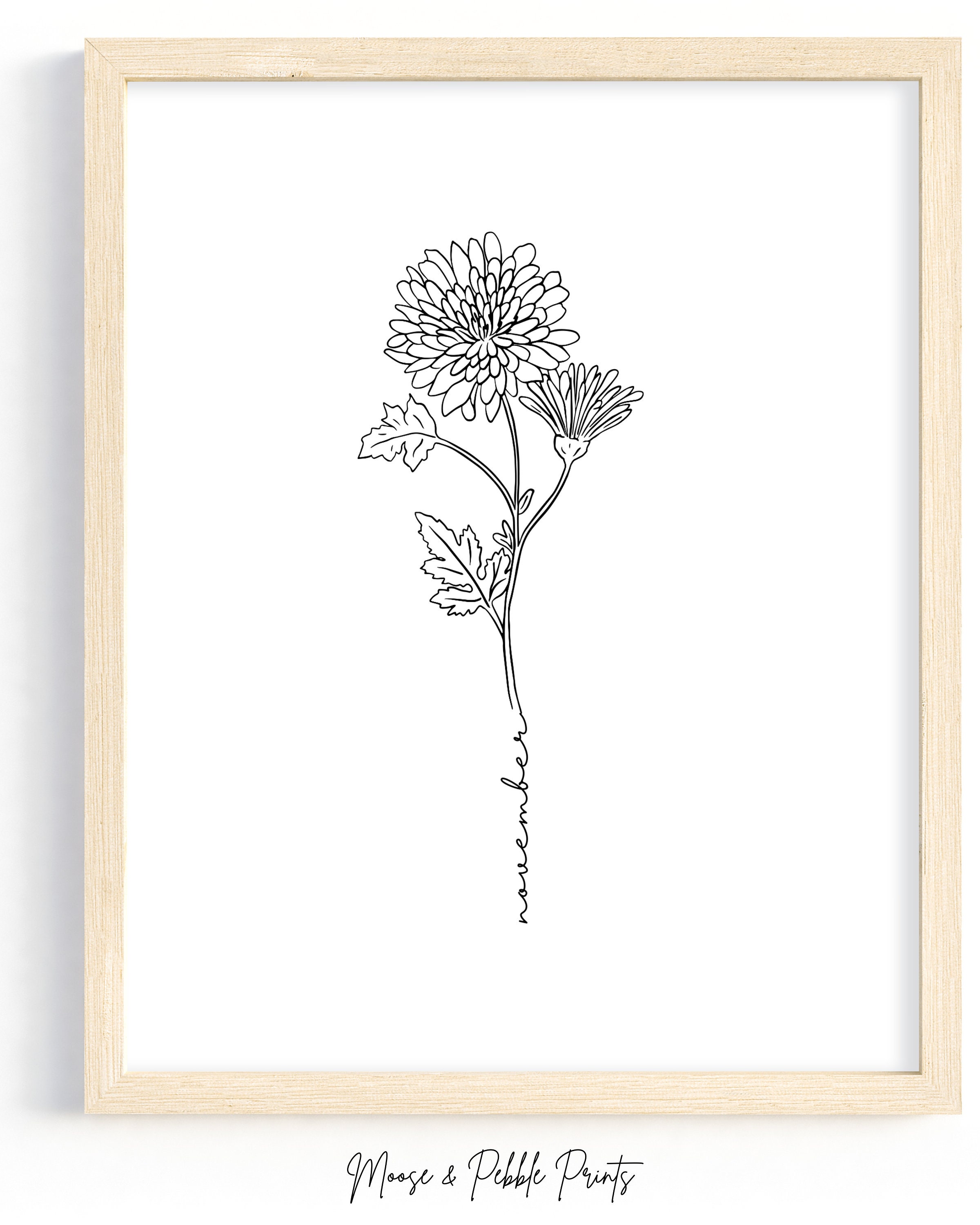 November Birth Flower Print: Chrysanthemum Minimum Line Art (digital ...