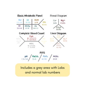 ICU Nurse Report Sheet, Clear, Helpful, Nursing Students, New Graduate ...