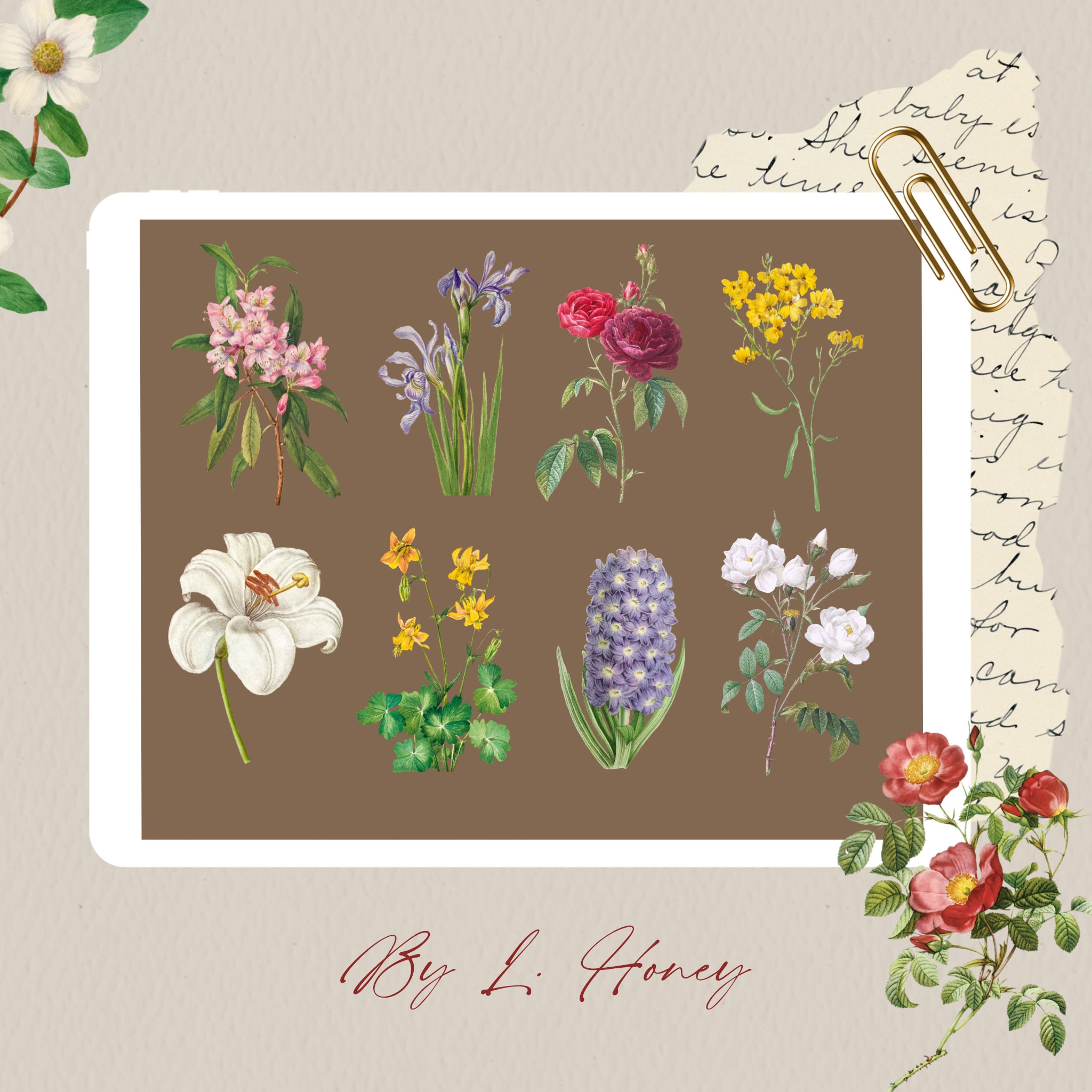 150+ Botanical Clipart Bundle Vintage Flower Illustrations Floral ...