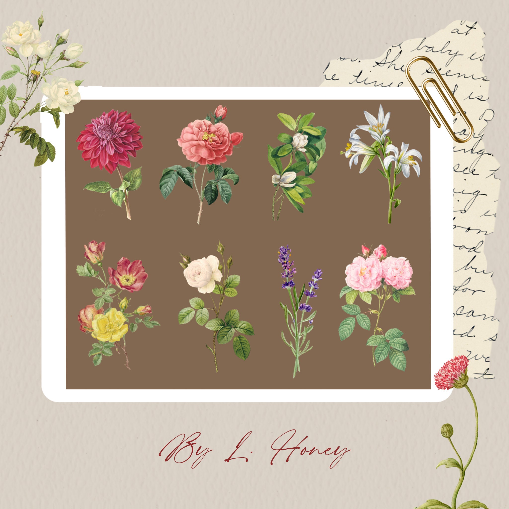 150+ Botanical Clipart Bundle Vintage Flower Illustrations Floral ...