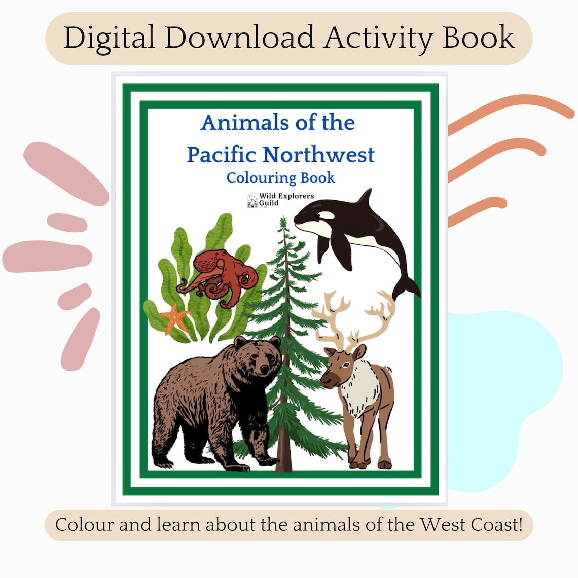 Pacific Northwest Animals Coloring Book - Digital Download - Fun and ...