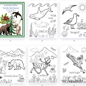 Pacific Northwest Animals Coloring Book - Digital Download - Fun and ...